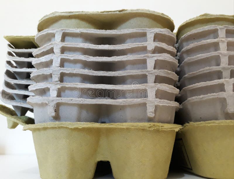 Empty egg cartons stock photo. Image of boxes, empty - 142103578