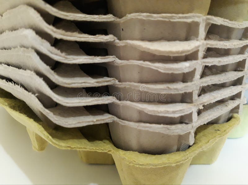 Empty egg cartons stock image. Image of laying, boxes - 142103647