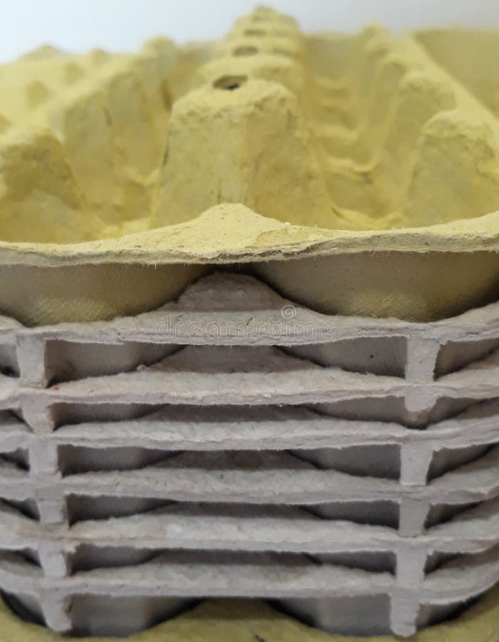 Empty egg cartons stock image. Image of eggs, boxes - 142103871