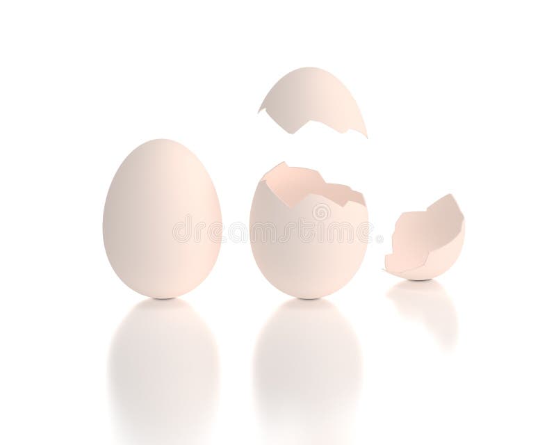 Broken empty eggshell stock image. Image of shell, chicken - 1710819