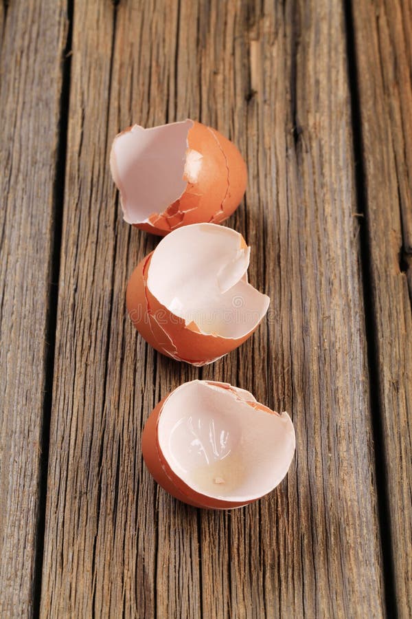 Empty egg shells stock photo. Image of object, wood, life - 21743518