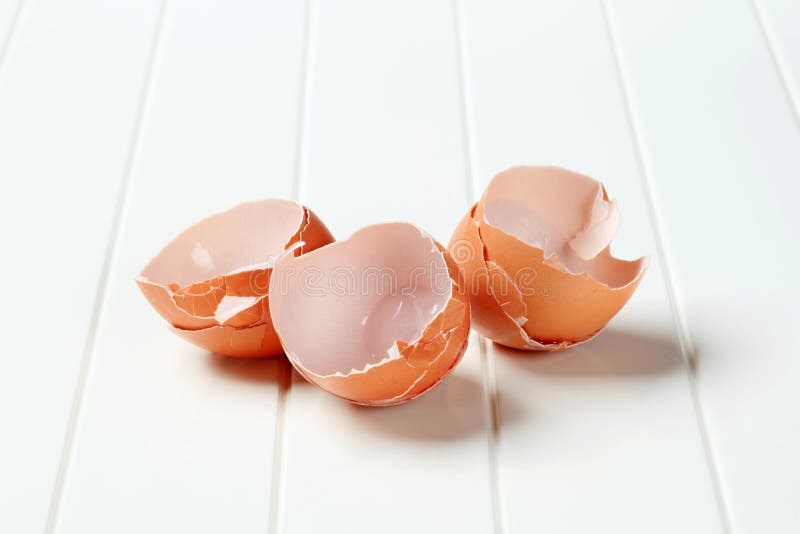 Empty egg shells stock image. Image of hatched, fragile - 54121075