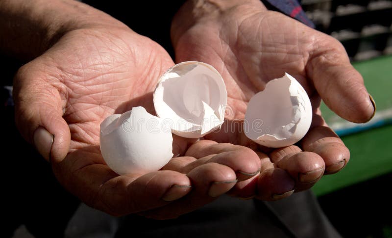 Empty Egg Shells in the Hands of an Elderly Person. the Concept Stock ...
