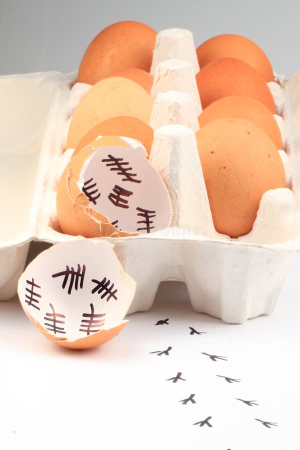 Empty egg shells stock image. Image of life, easter, footprint - 45853773