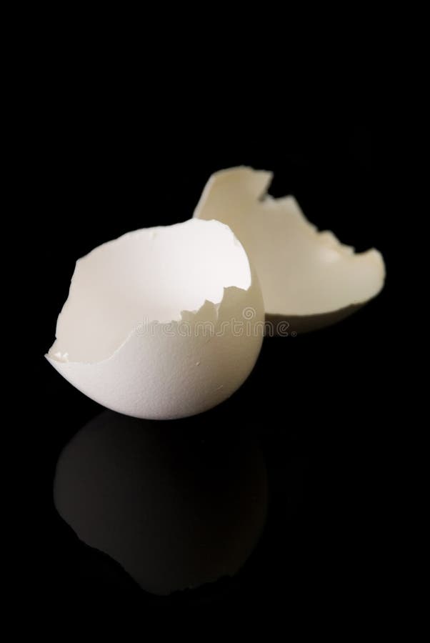 Empty eggshell stock image. Image of ideas, broken, descriptive - 14069381