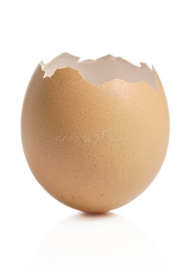 Broken empty eggshell stock image. Image of shell, chicken - 1710819