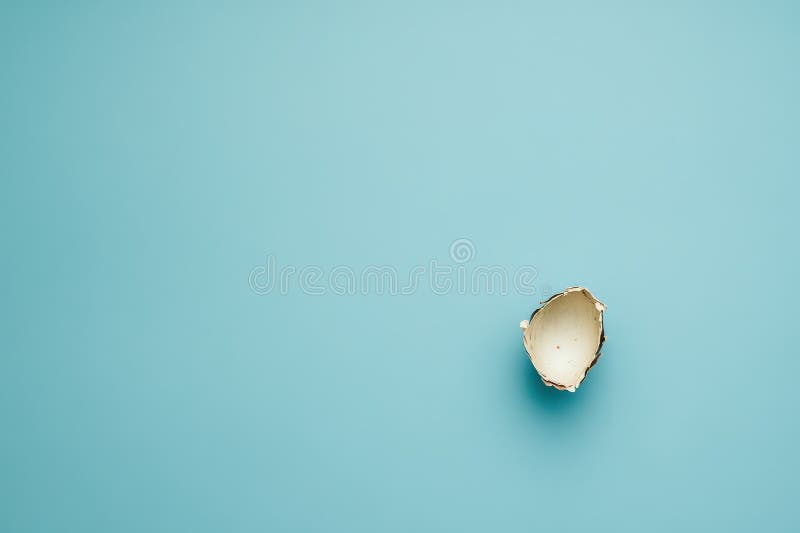 Empty Eggshell on Blue Shows Fragility Stock Photo - Image of fragility ...