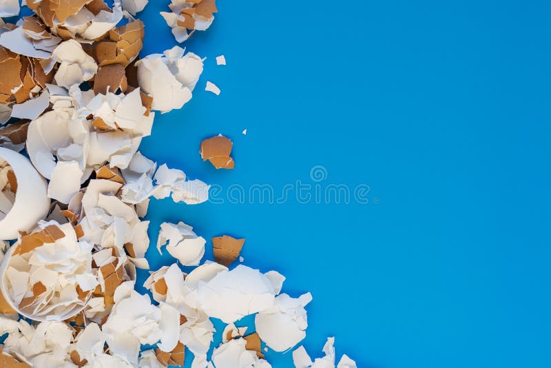 The Shell of the Eggs on a Blue Background Stock Image - Image of ...