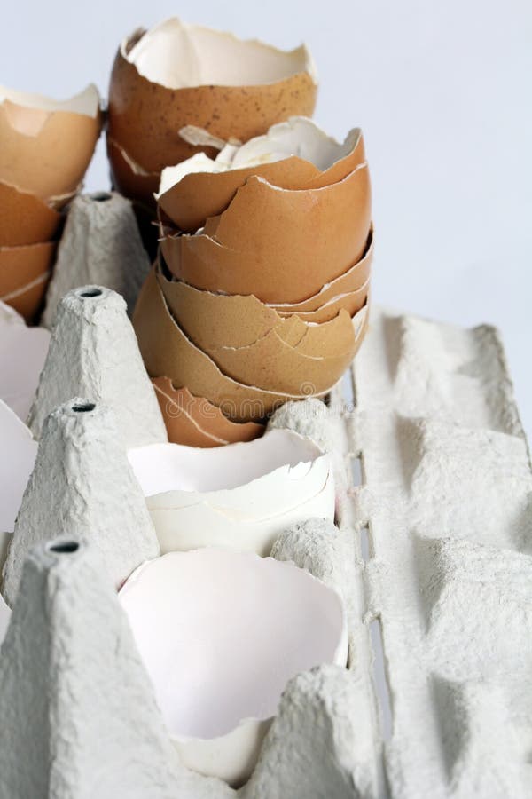 Empty Eggshells in an Egg Carton Stock Image - Image of yolk ...