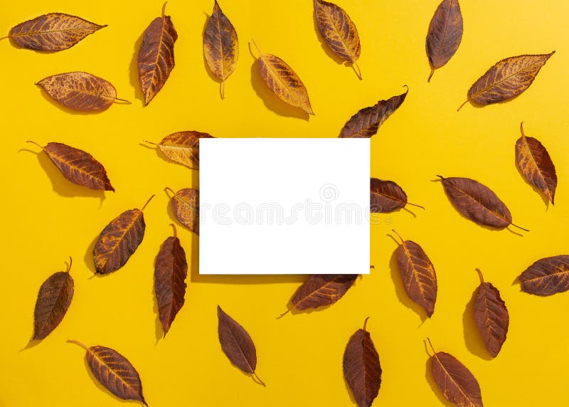 Empty Elevated Rectangular Frame Mock Up and Autumn Leaves on Yellow ...