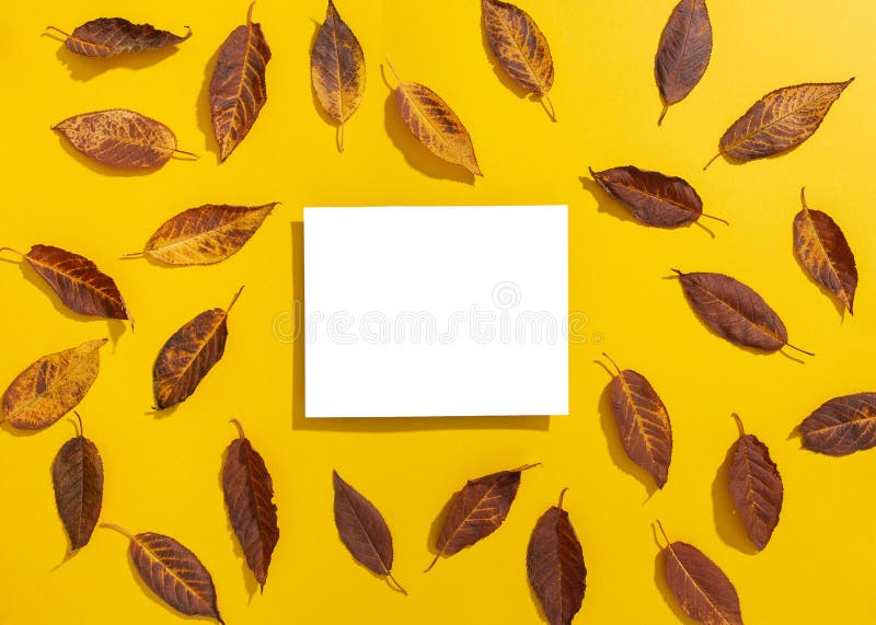 Empty Elevated Rectangular Frame Mock Up and Autumn Leaves on Yellow ...