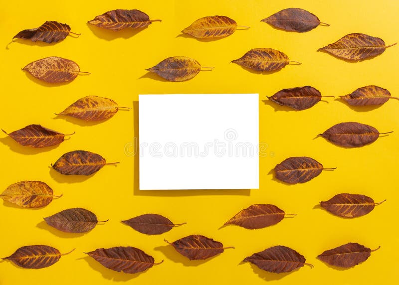 Empty Elevated Rectangular Frame Mock Up and Autumn Leaves on Yellow ...