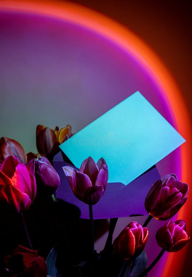 Empty Envelope for Your Text Mock Up Pink Colored Tulip Flower in Neon ...