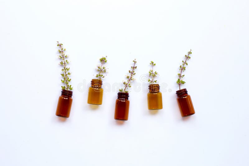 Empty Essential Oil Bottles with Holy Basil Flower on White Stock Image ...