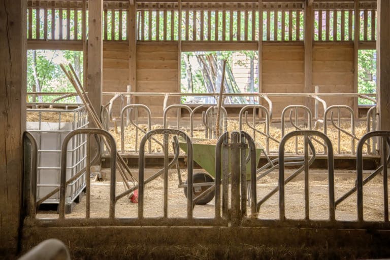Empty farm barn stock photo. Image of traditional, netherlands - 31686556