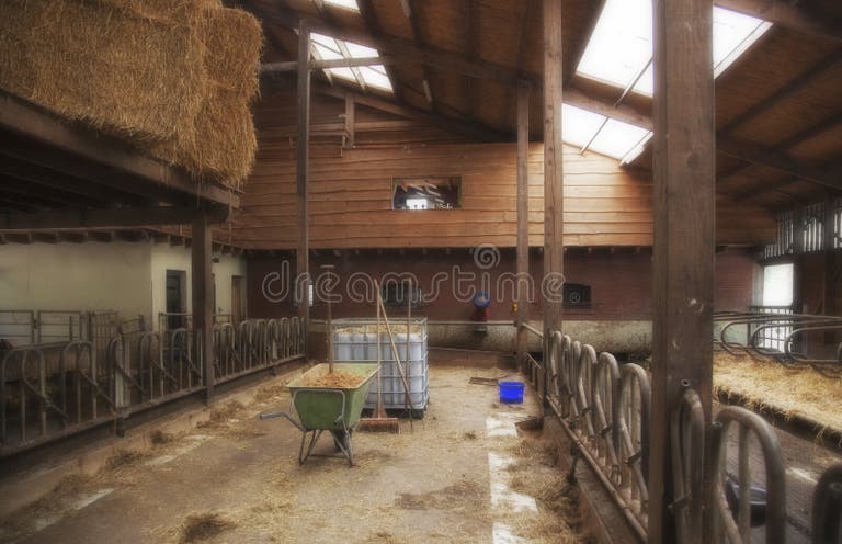 Empty farm barn stock photo. Image of traditional, ranch - 31686562
