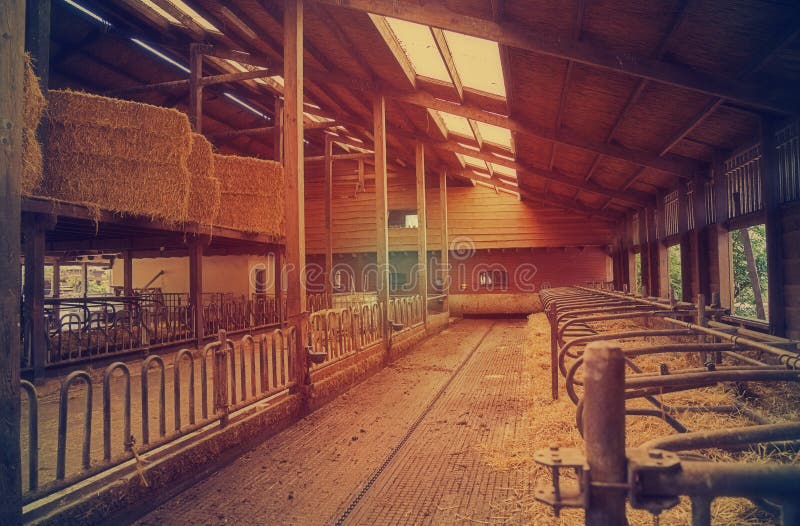 Empty farm barn stock photo. Image of cowshed, stall - 31686578