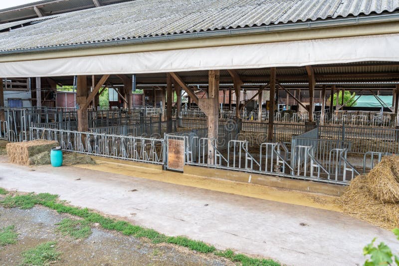 Empty Farm with Boxes for Cows Stock Image - Image of animal, field ...