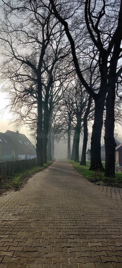 Empty Farm Road in Cold Winter Fog Stock Image - Image of beautiful ...
