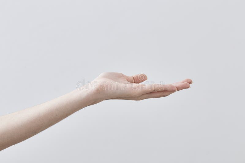 Empty Female hand holding stock photo. Image of finger - 128629346