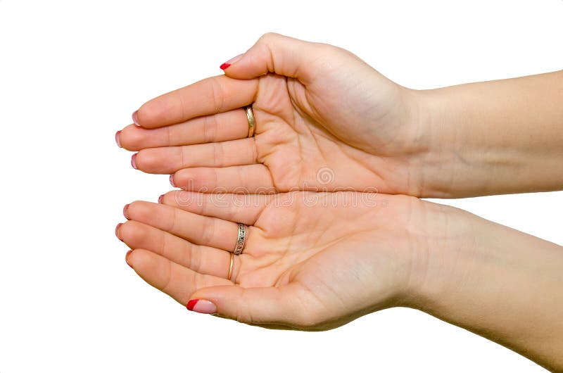 Empty female hand isolated stock image. Image of hand - 70296257