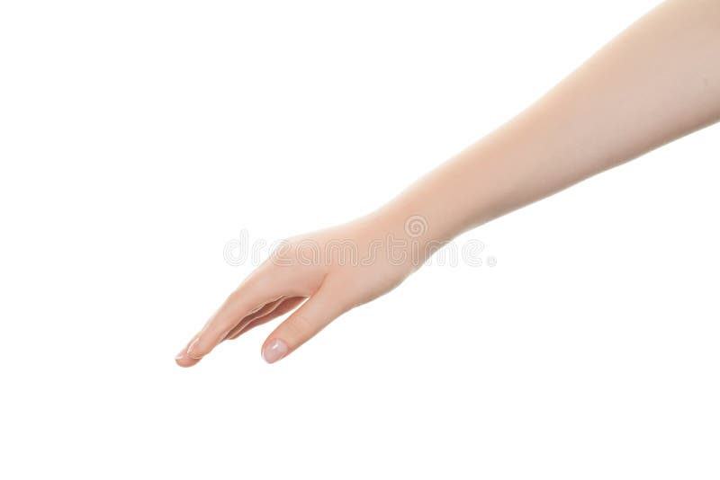 Empty Female Hand Isolated on White Background Stock Photo - Image of ...
