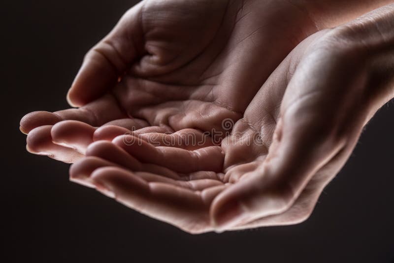 Empty Female Hands Together Asking for Help. Stock Image - Image of ...