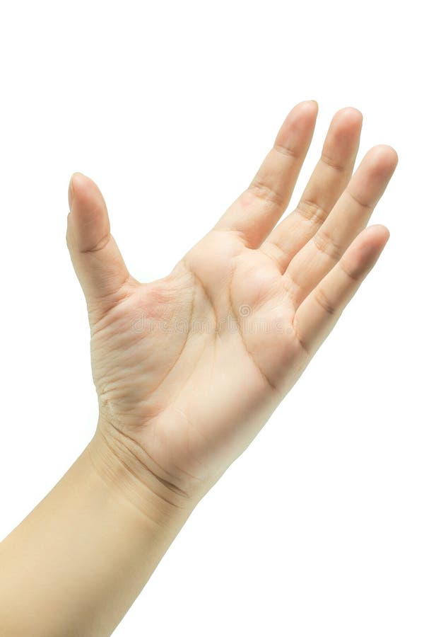 Empty Female Open Hand Isolated on White Stock Photo - Image of closeup ...