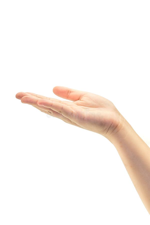 Empty Female Open Hand Isolated on White Stock Image - Image of girl ...