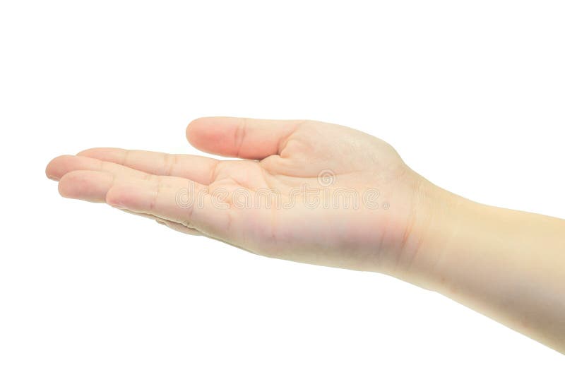 Empty Female Open Hand Isolated on White Stock Photo - Image of closeup ...
