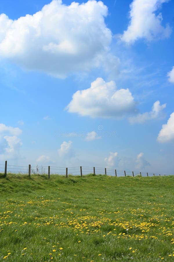 Empty field stock image. Image of field, cloud, agricultural - 111173