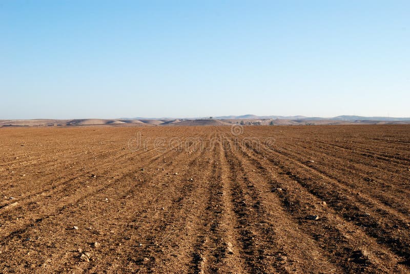 Empty field stock photo. Image of growth, plowed, seed - 12668268