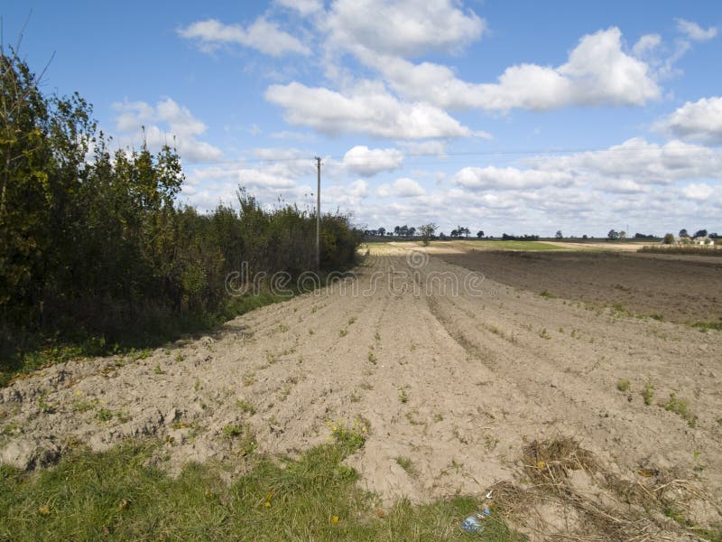 Empty field stock photo. Image of barren, cultivated, landscaped - 3804888