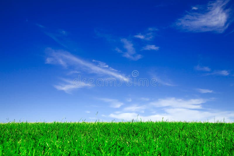 Empty field stock photo. Image of sunny, background, empty - 5098376