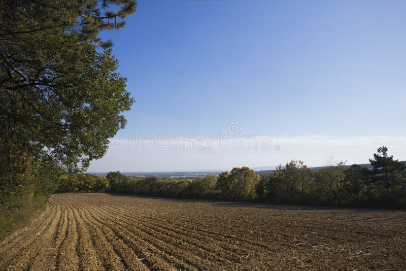 An Empty Field in Autumn is Ready for Summer Stock Image - Image of ...
