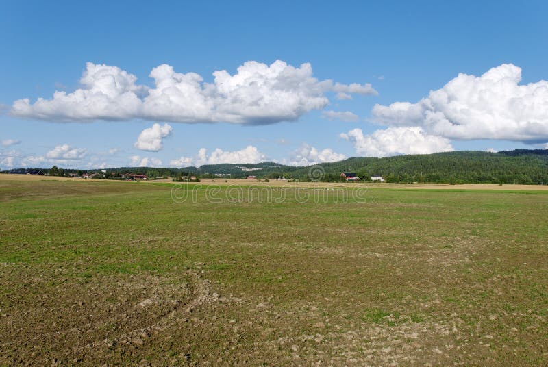 Empty Field and Cloudscape stock photo. Image of cloudscape - 6138120