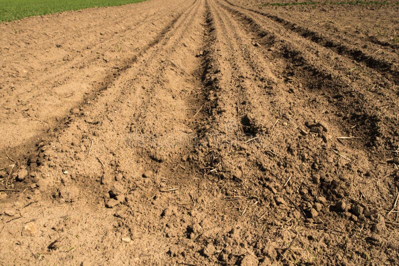 Empty plowed field stock image. Image of closeup, farming - 146577839
