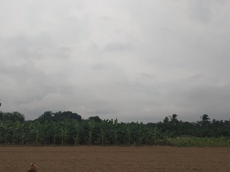 The Empty Field for Farming Stock Photo - Image of nature, field: 154111914