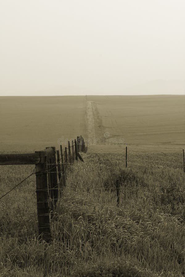 Empty Field With A Fence Picture. Image: 65980