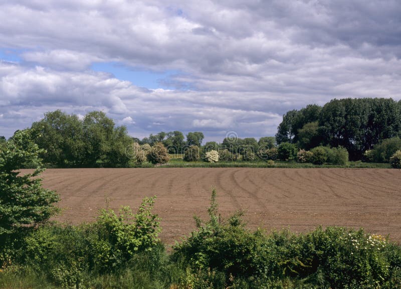 Empty field stock image. Image of landscapes, horizontal - 116335863