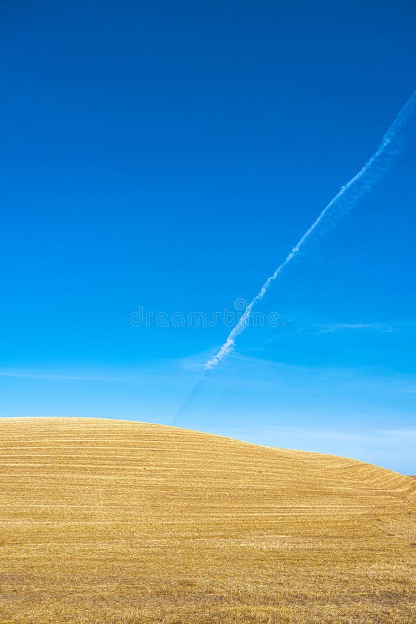 Empty Field stock photo. Image of trip, nature, travel - 260456590