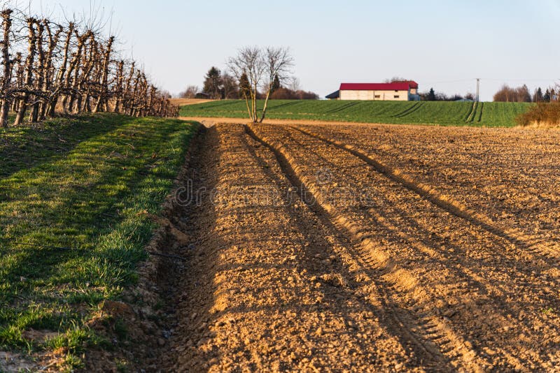 On a Sunny Day in Early Spring on the Lake. Melting Ice on the Lake ...