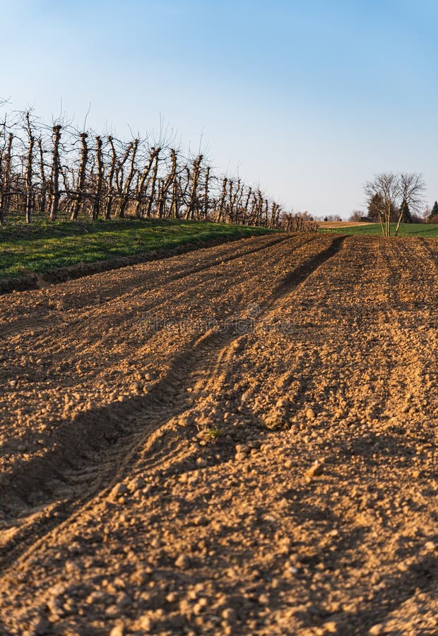 On a Sunny Day in Early Spring on the Lake. Melting Ice on the Lake ...