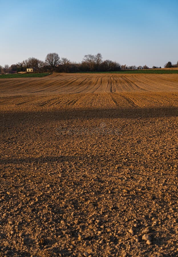 Sunny day in early spring stock photo. Image of rays - 73700508