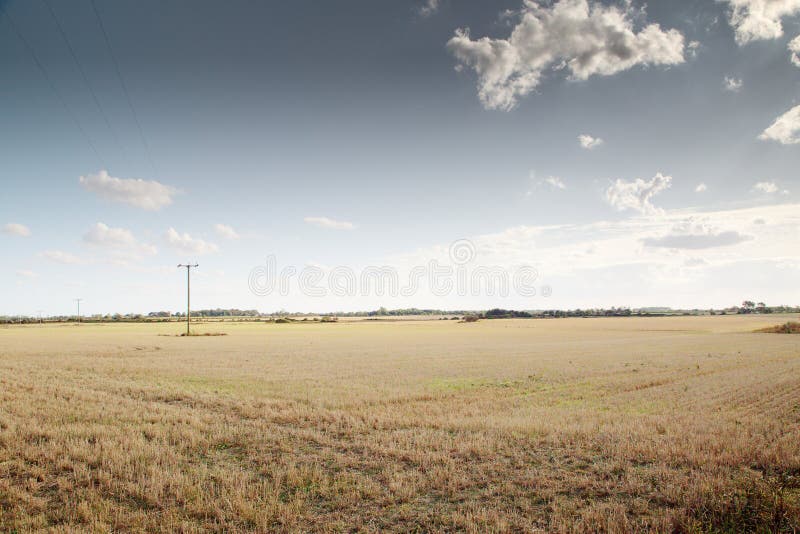 Empty field in norfolk stock image. Image of farming - 184370447