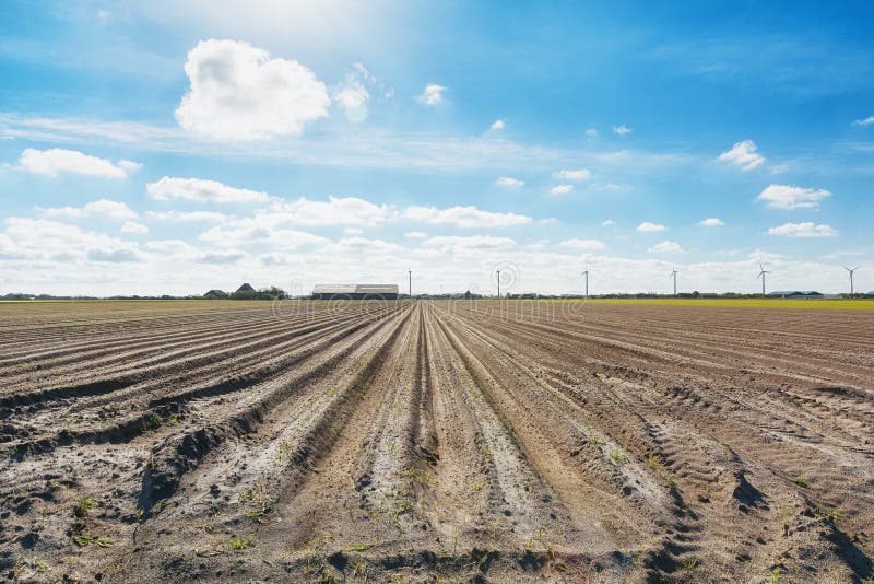 Empty Field Prepared for Planting. Stock Image - Image of flowerbed ...
