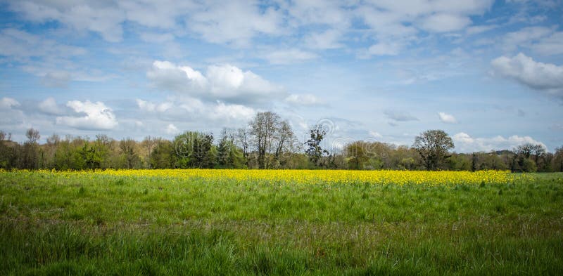 Empty field stock image. Image of whit, nature, agriculture - 261984519