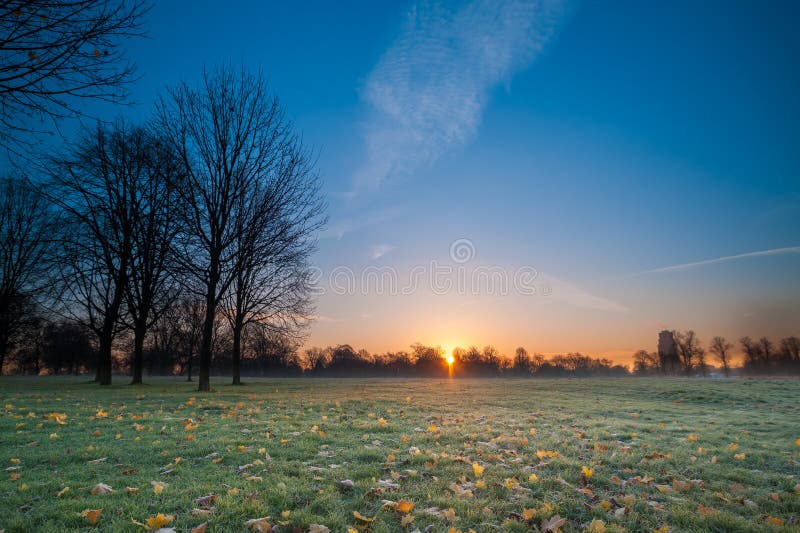 Empty Field during Winter Sunrise Stock Image - Image of forests, light ...