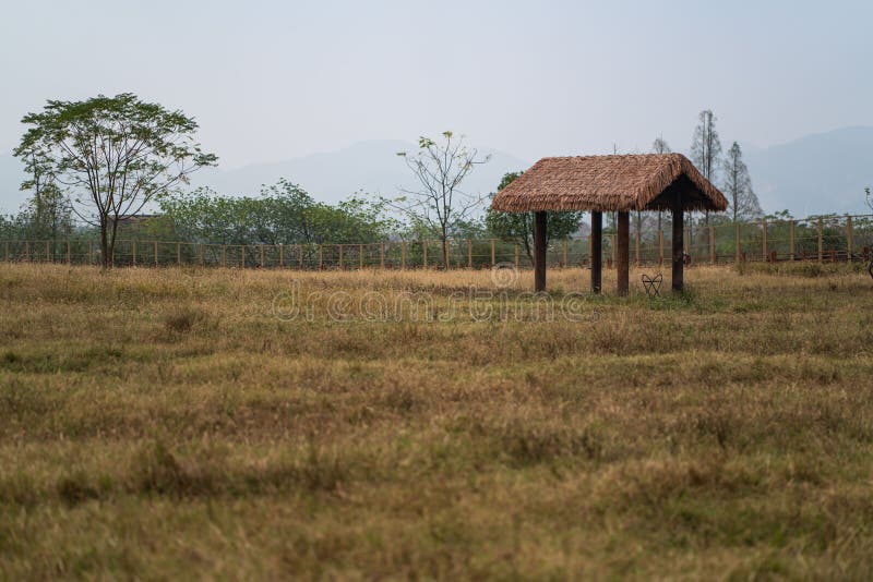 Empty Field with a Wooden Hut Stock Image - Image of grass, empty ...