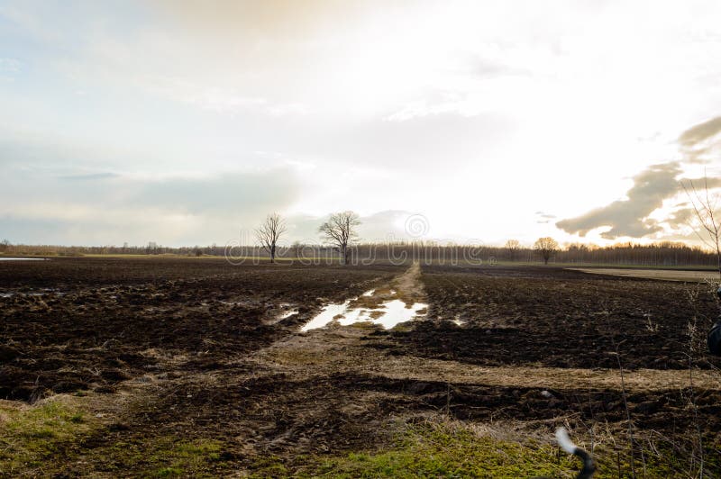Empty Fields in Autumn in Countryside Stock Image - Image of light ...